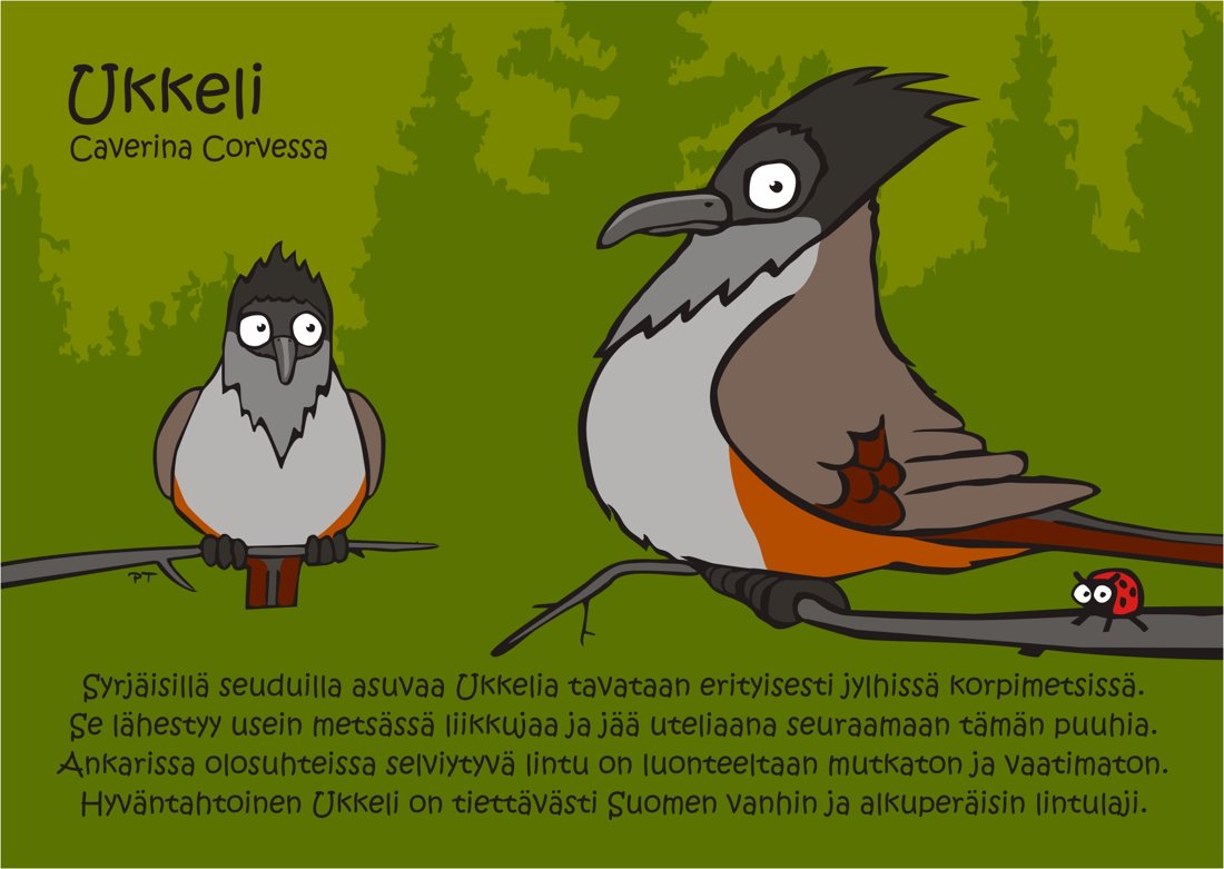 Ukkeli postikortti — Seikka Shop