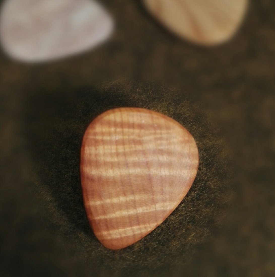 Plektra — Lauri-tuotteet Oy