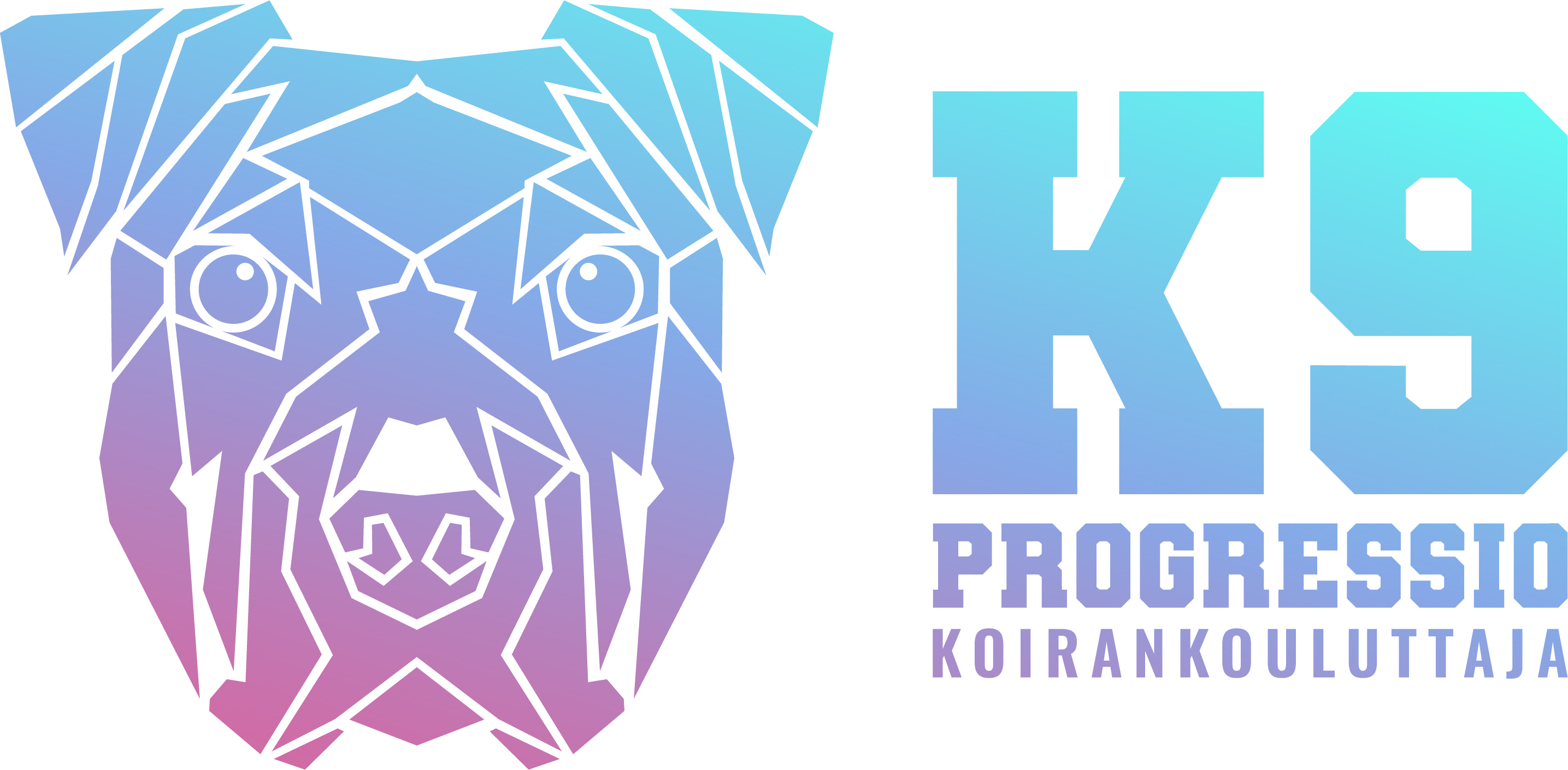 K9Progressio Verkkokauppa