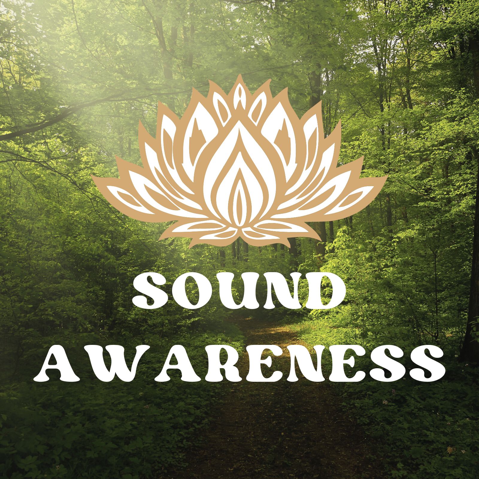 Sound Awareness
